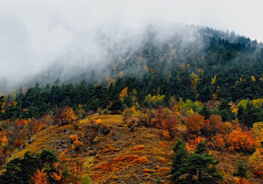 5 bonnes raisons pour passer un week-end d’automne à la montagne